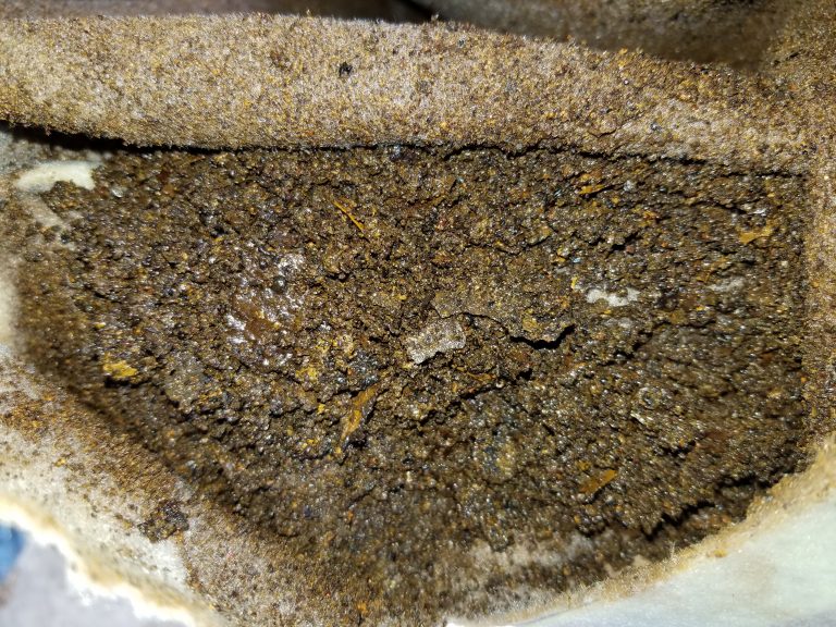 Fuel Contamination 101 – Biobor Fuel Additives