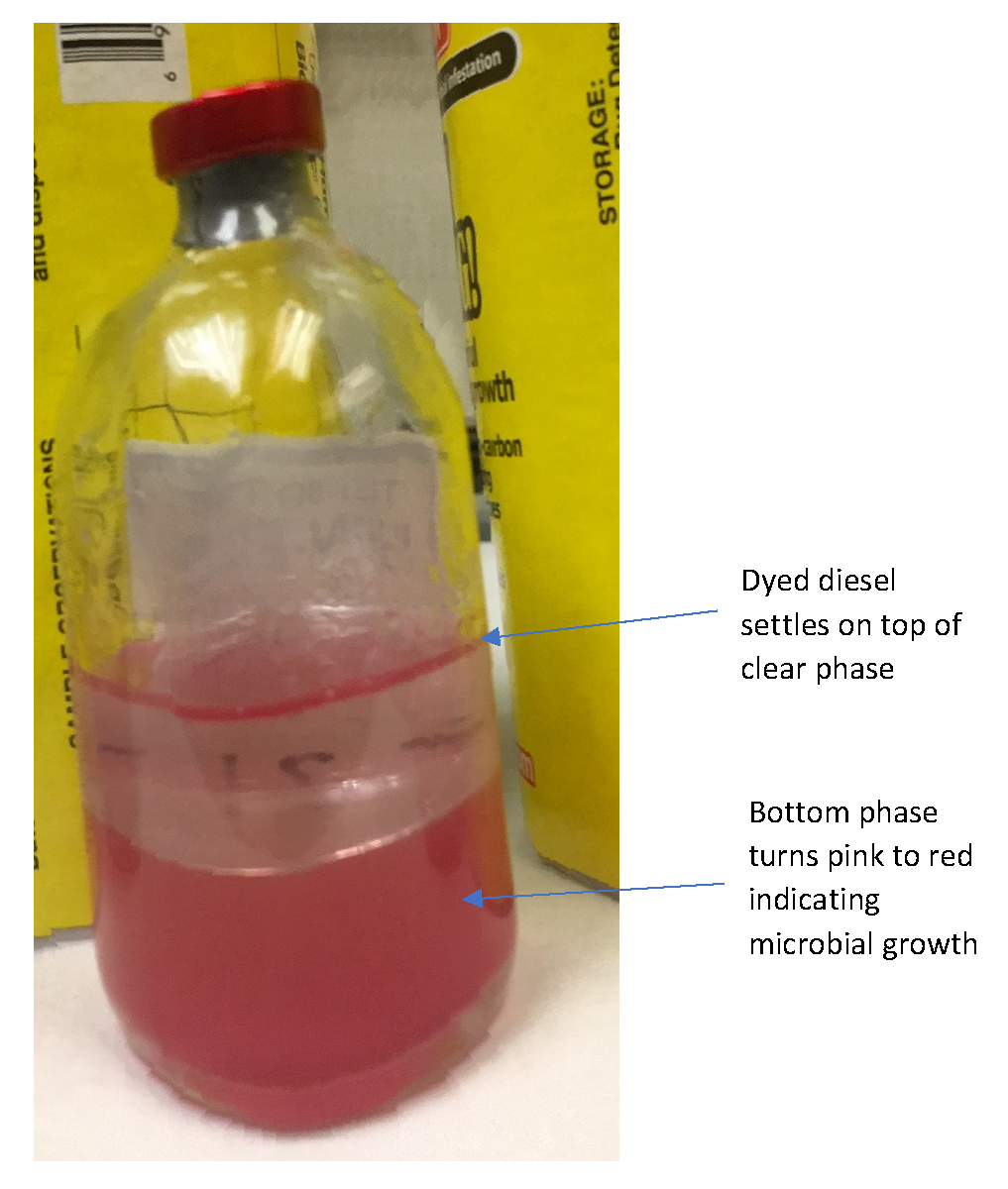 Hum-Bug Detector Kit – Biobor Fuel Additives