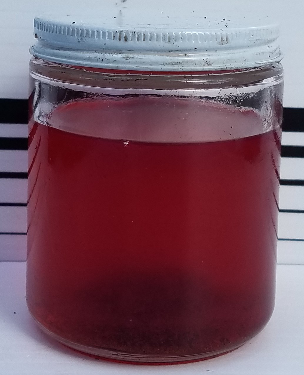 Heating Oil Problems – Biobor Fuel Additives