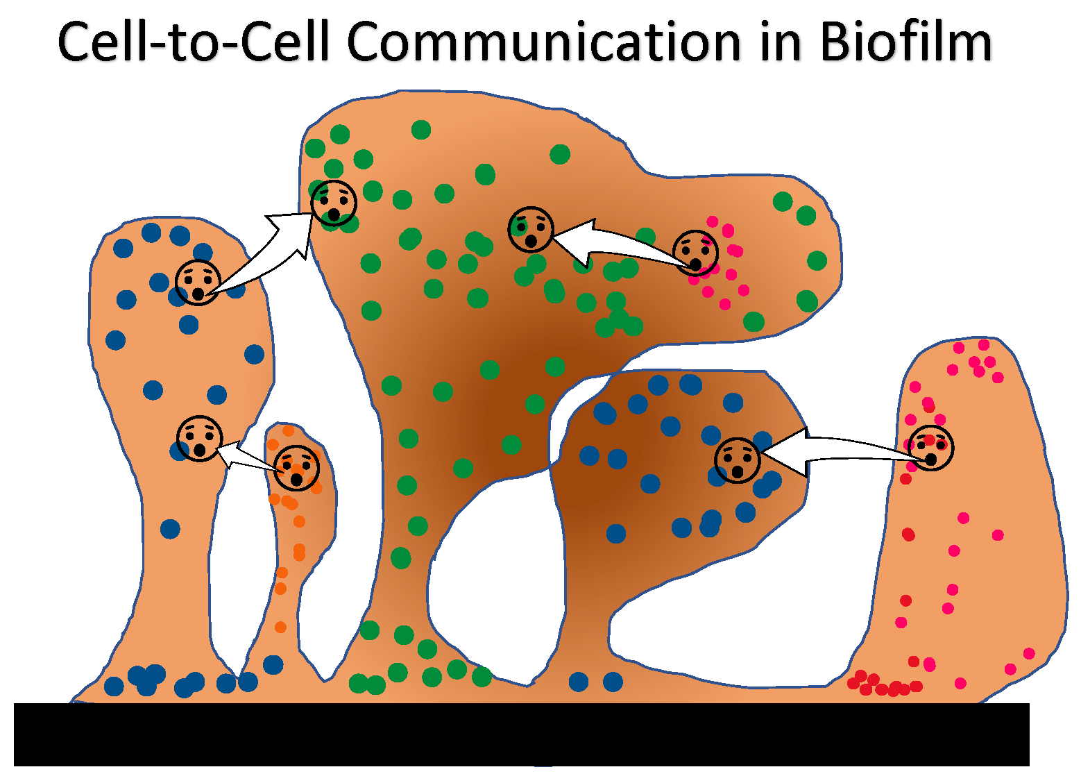 Biofilm Formation in Fuel Systems – Biobor Fuel Additives