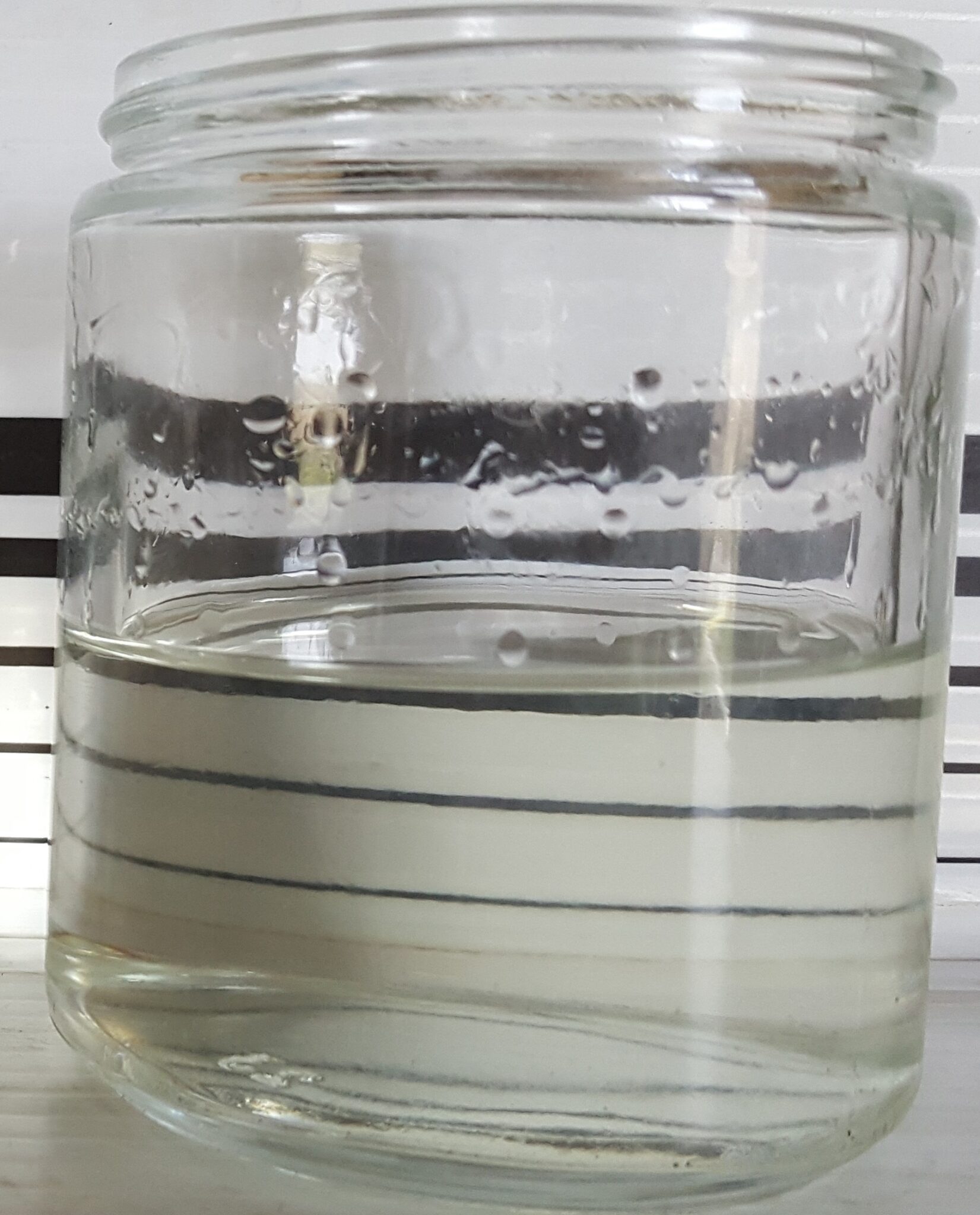 Jet Fuel Contamination – Biobor Fuel Additives