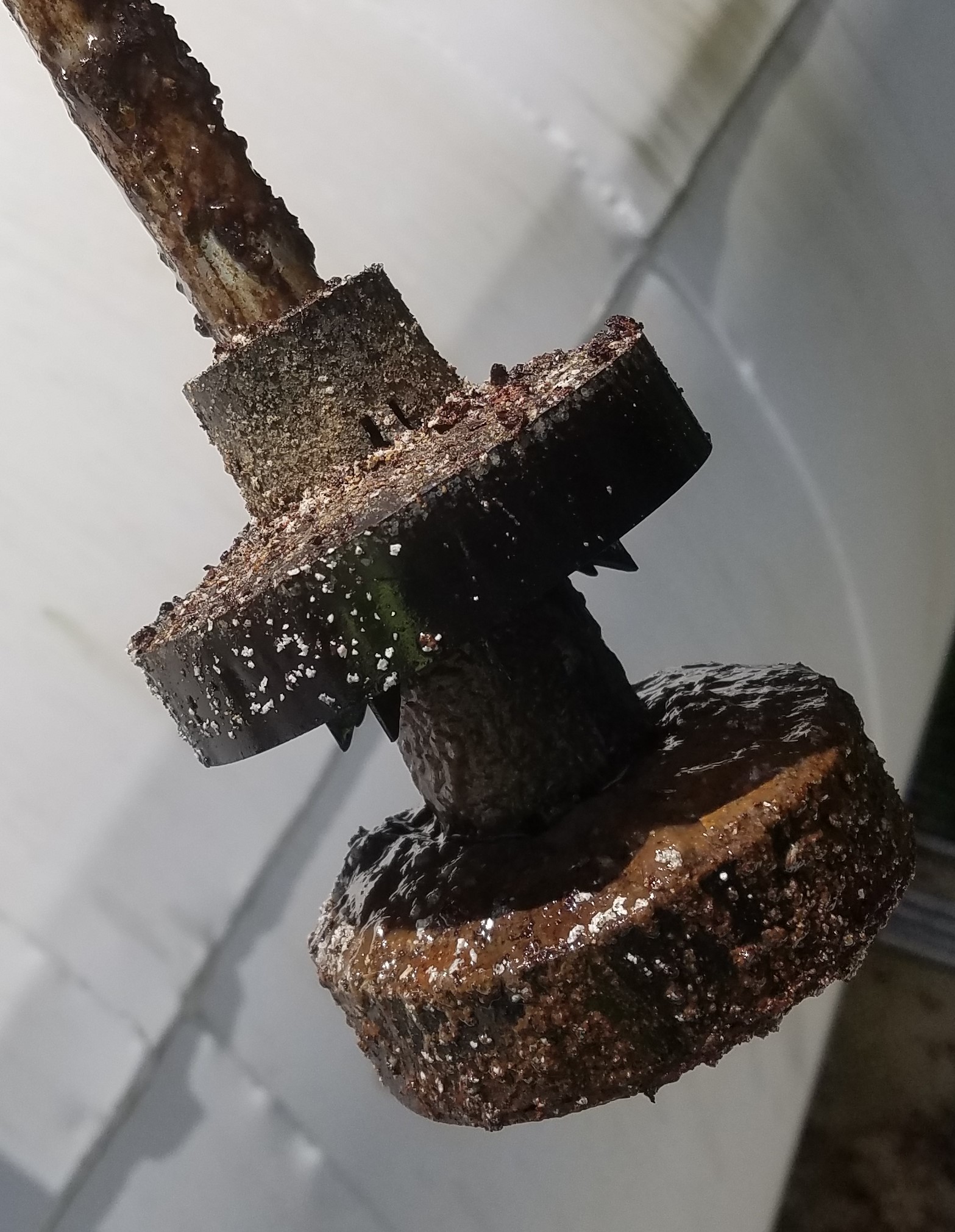 Biofilm Formation in Fuel Systems – Biobor Fuel Additives